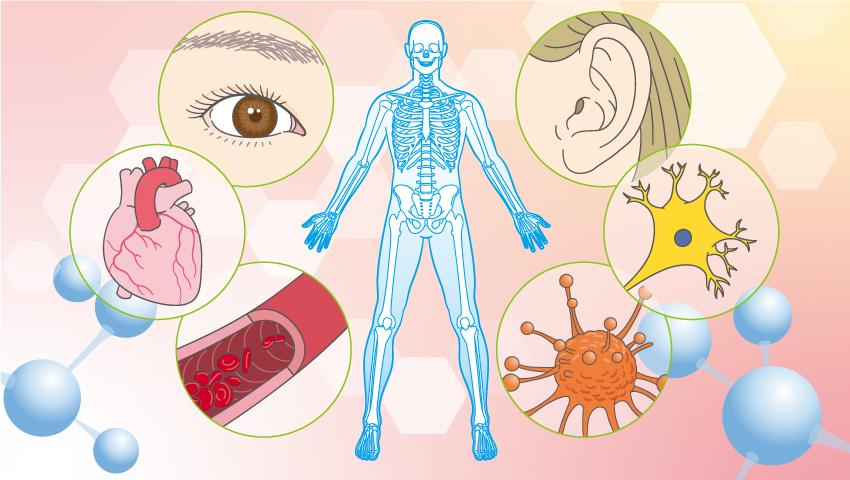 細胞培養の効率化で再生医療の未来を拓く 「可溶性マイクロキャリア」 | Discover DNP | DNP 大日本印刷